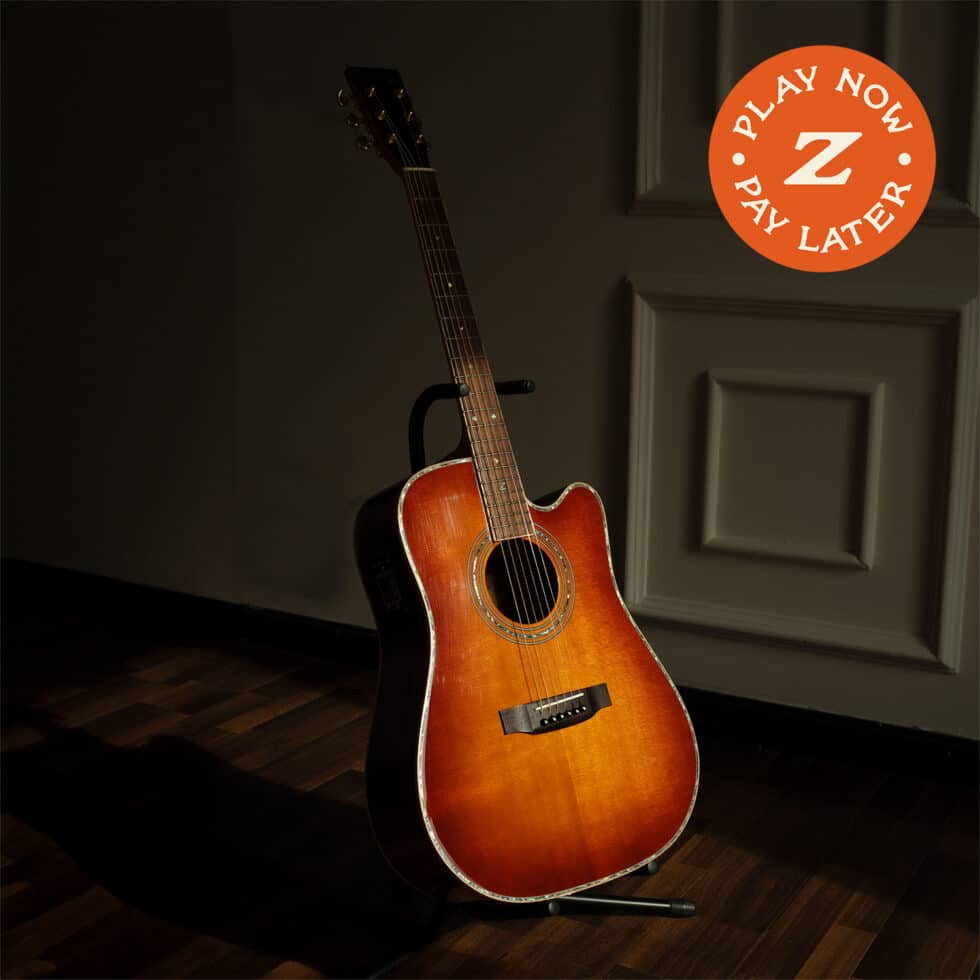 Zager Easy Play Guitars