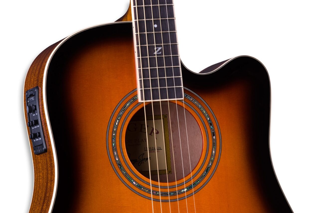 Zager Easy Play Guitars